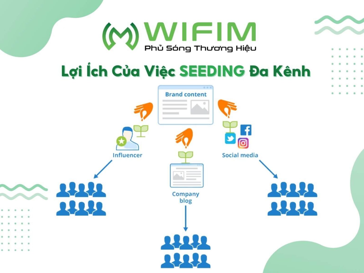 Dịch vụ seeding các kênh facebook, tiktok, youtube theo yêu cầu | WIFIM JSC